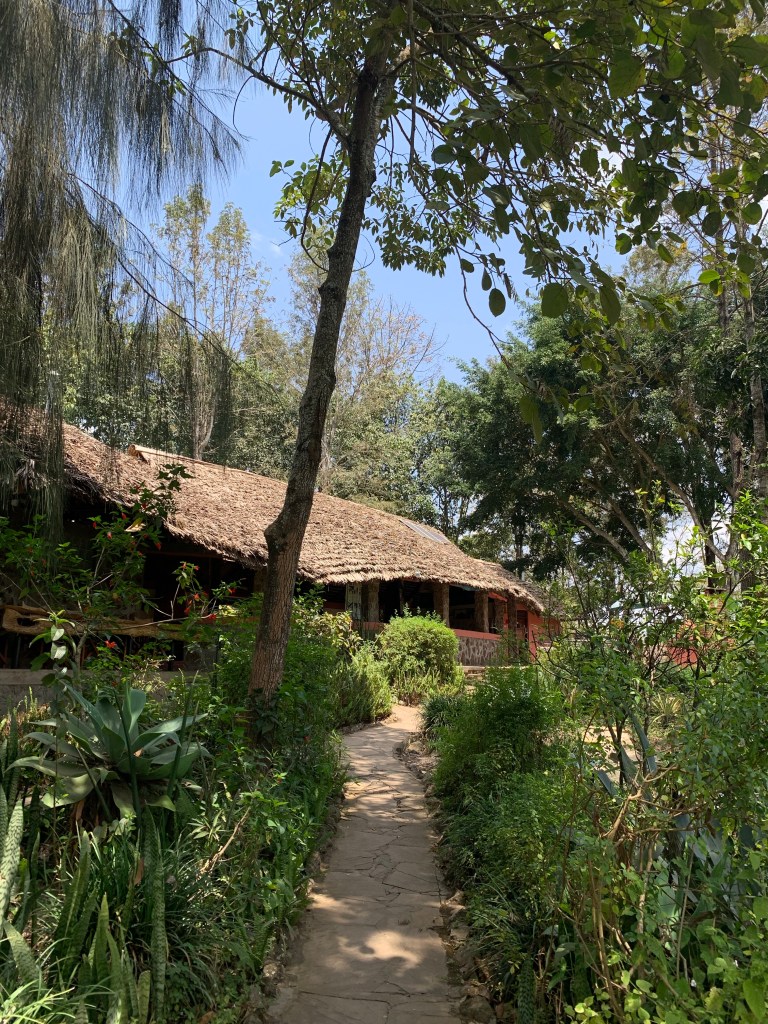 Helping Young Street People and Restoring Village Nature at Kiboko ...