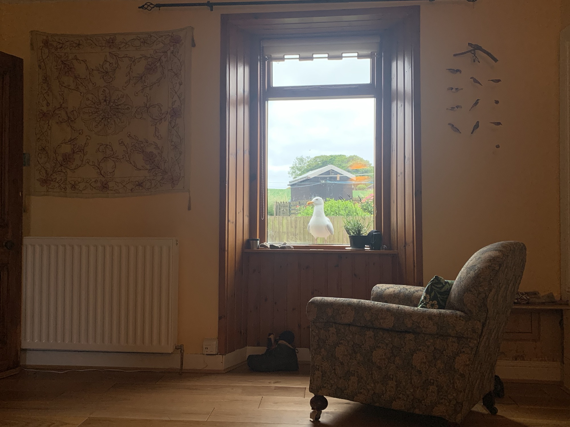 An inside-out Aviary – Vagrant Mind